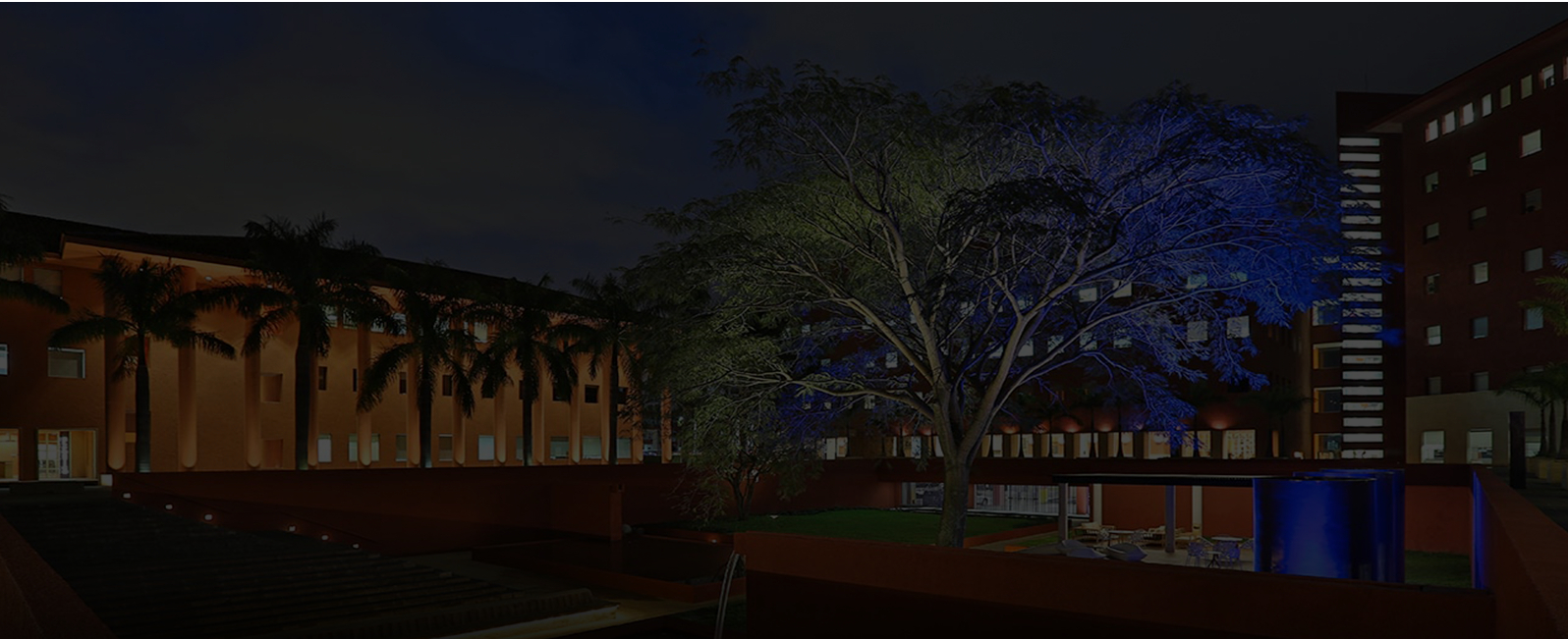 Somos Roble - Grupo Roble Regional